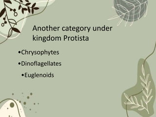 Science8_Protista.pptx