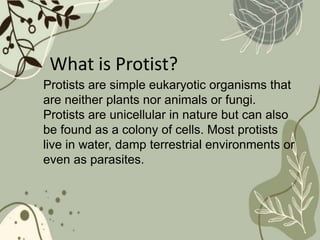 Science8_Protista.pptx