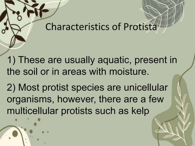 Science8_Protista.pptx