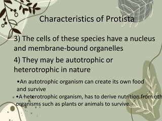 Science8_Protista.pptx