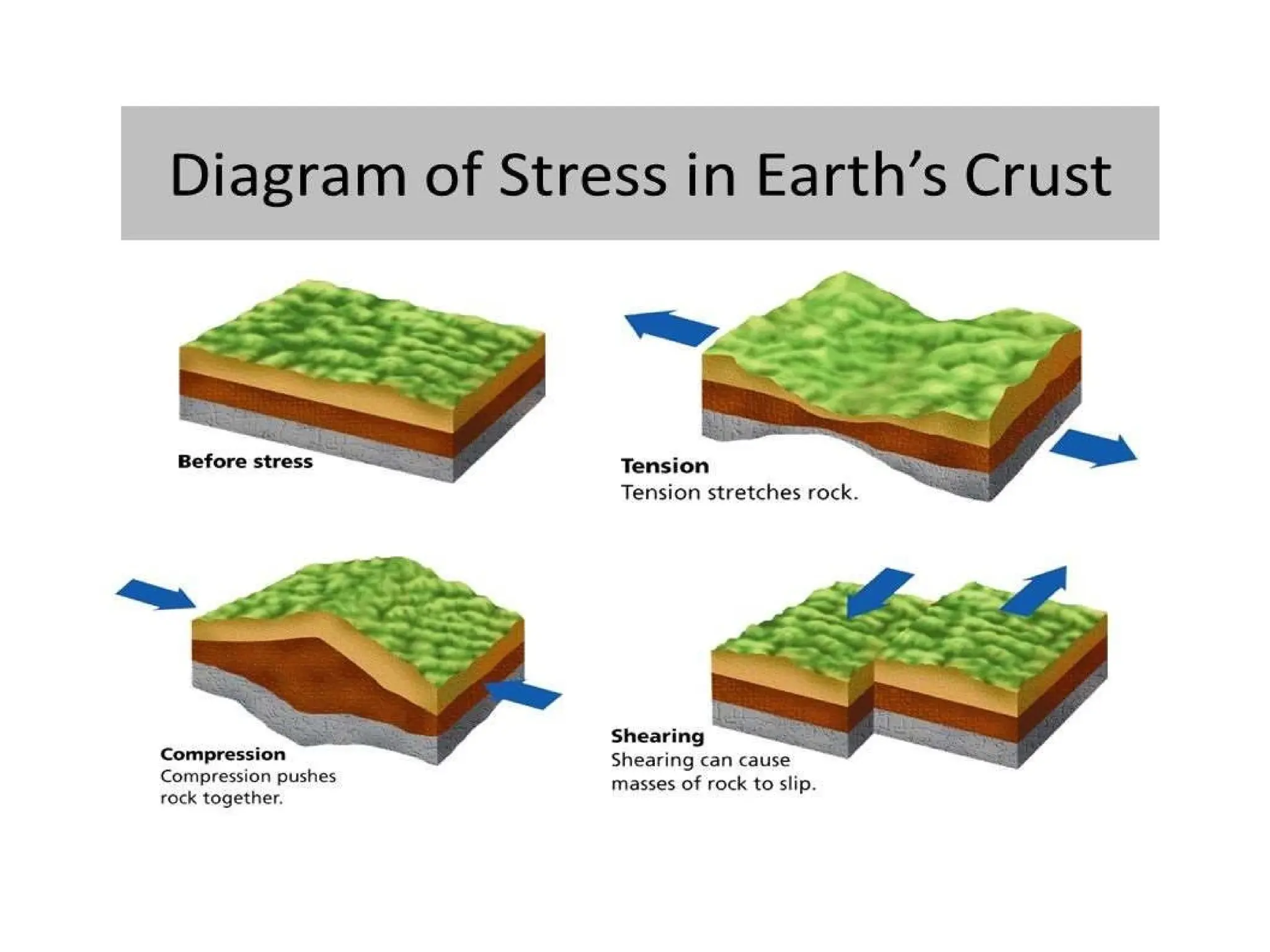 Earthquakes and Fault, Epicenter Focus and Faults and Seismic Waves | PPTX