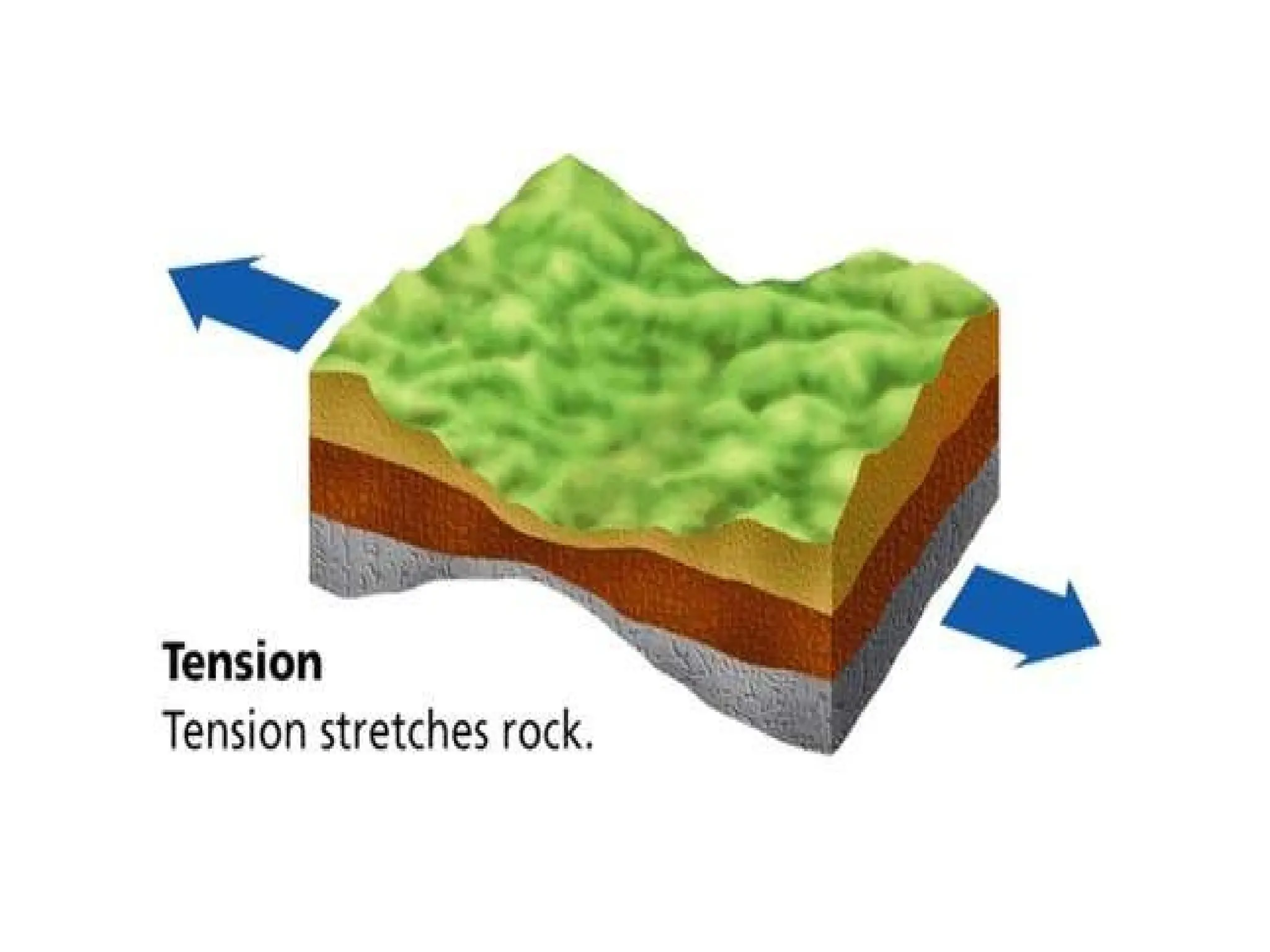 Earthquakes and Fault, Epicenter Focus and Faults and Seismic Waves | PPTX