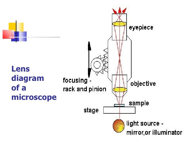 Science8 Unit C Lightand Optics Section1 Lesson2 Optical Devices