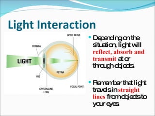 Science8 Unit C Lightand Optics Section2 Lesson3 Raysand Reflection | PPT