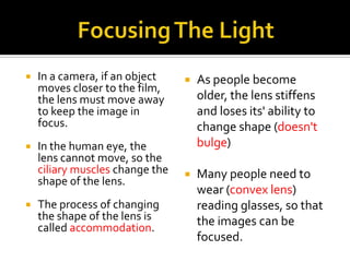 Science8 Unit C Lightand Optics Section4 Lesson7 Image Formationin ...