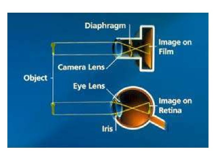 Science8 Unit C Lightand Optics Section4 Lesson7 Image Formationin Ey…