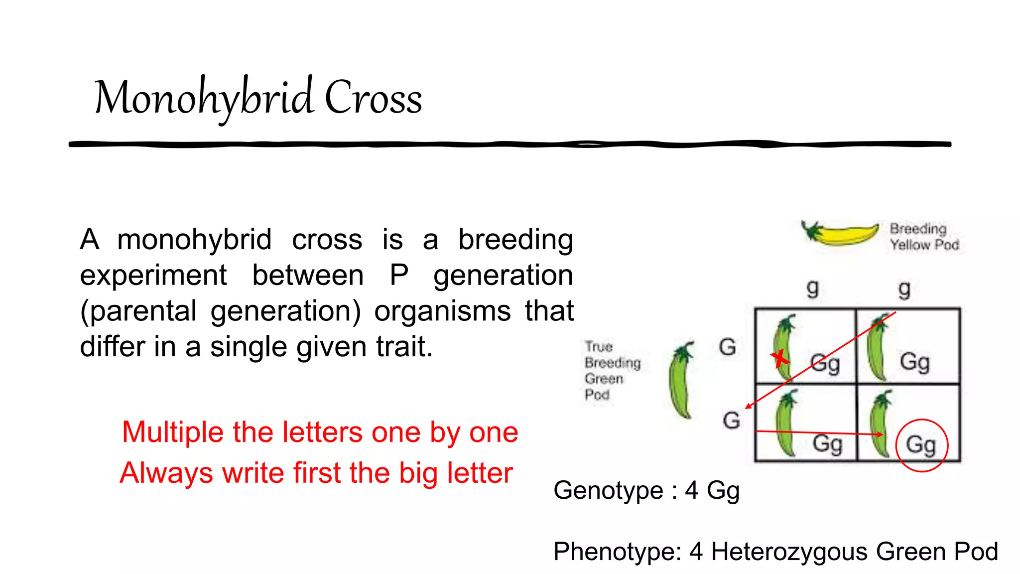 Science 8 week 3.pptx