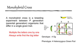 Science 8 week 3.pptx
