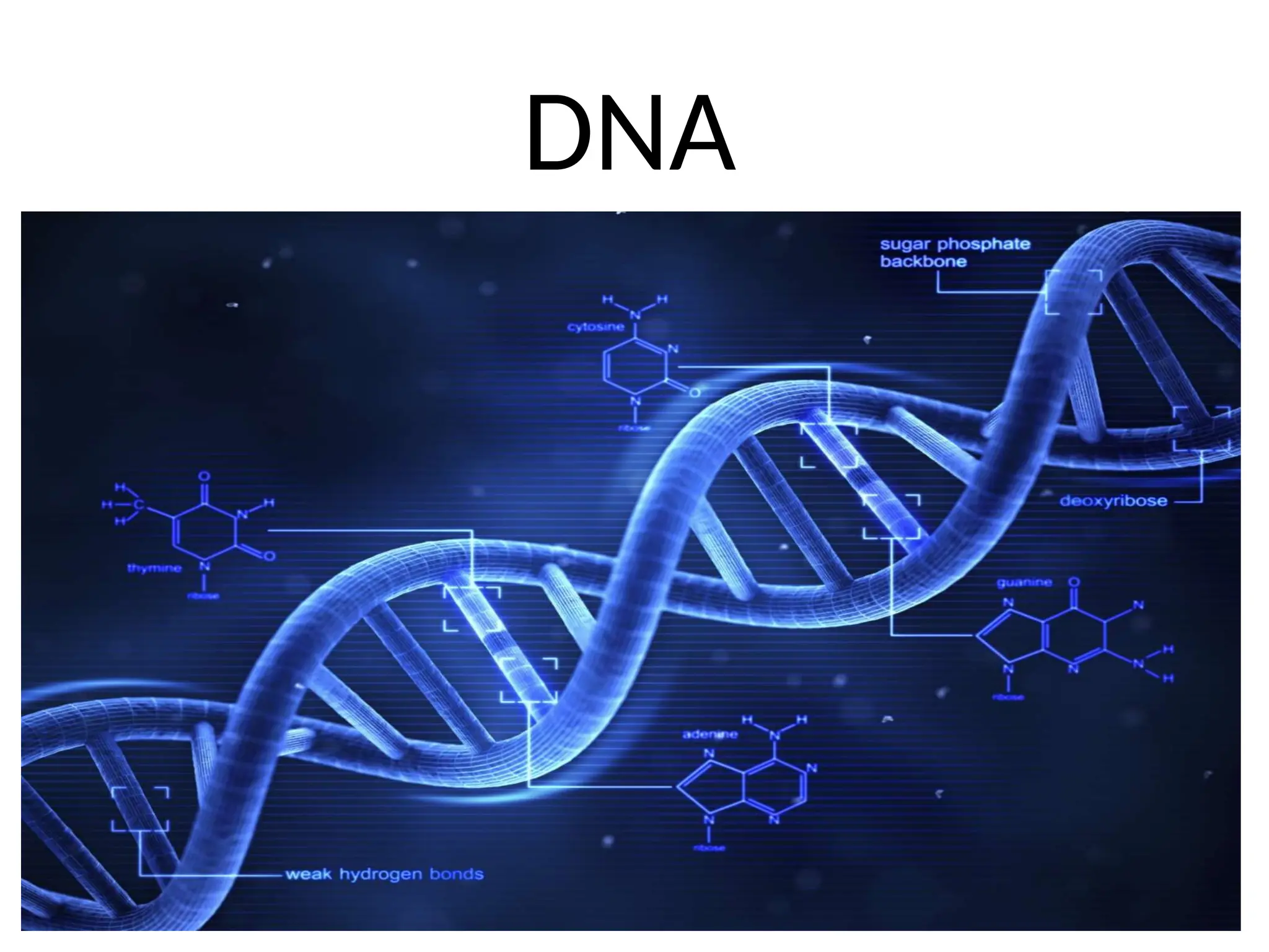 SCIENCE 9SCIENCE9POWERPOINTPRESENTATION.pptx | Free Download
