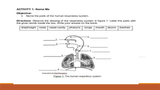 science 9 quarter 1 the respiratory and circulatory system.pptx