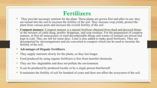 Chemical Fertilizer - Science (Grade - 9) | PPTX