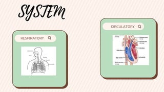 SCIENCE 9 -RESPIRATORY-Circulatory-SYSTEM.pptx