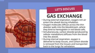 SCIENCE 9 - Q1-L1-RESPIRATORY SYSTEM.pptx