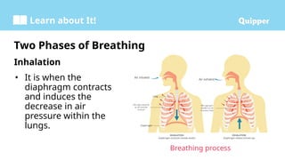 Science 9 1.2 Breathing Mechanism.s.pptx