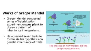 Laws of Heredity and the Punnett Sq.pptx