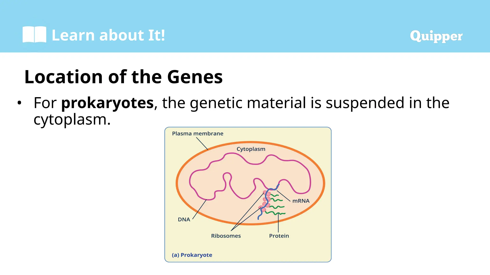 Science 9 2.1 Genes Powerpoint Presentation.pptx
