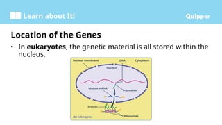Science 9 2.1 Genes Powerpoint Presentation.pptx