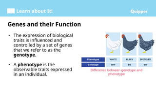 Science 9 2.1 Genes Powerpoint Presentation.pptx