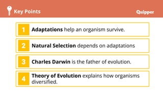 Science 9 3.3 Evolution and Natural Selection.pdf
