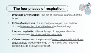 Science 9 Lesson 1 Respiratory System.pdf