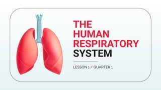 Science 9 Lesson 1 Respiratory System.pdf