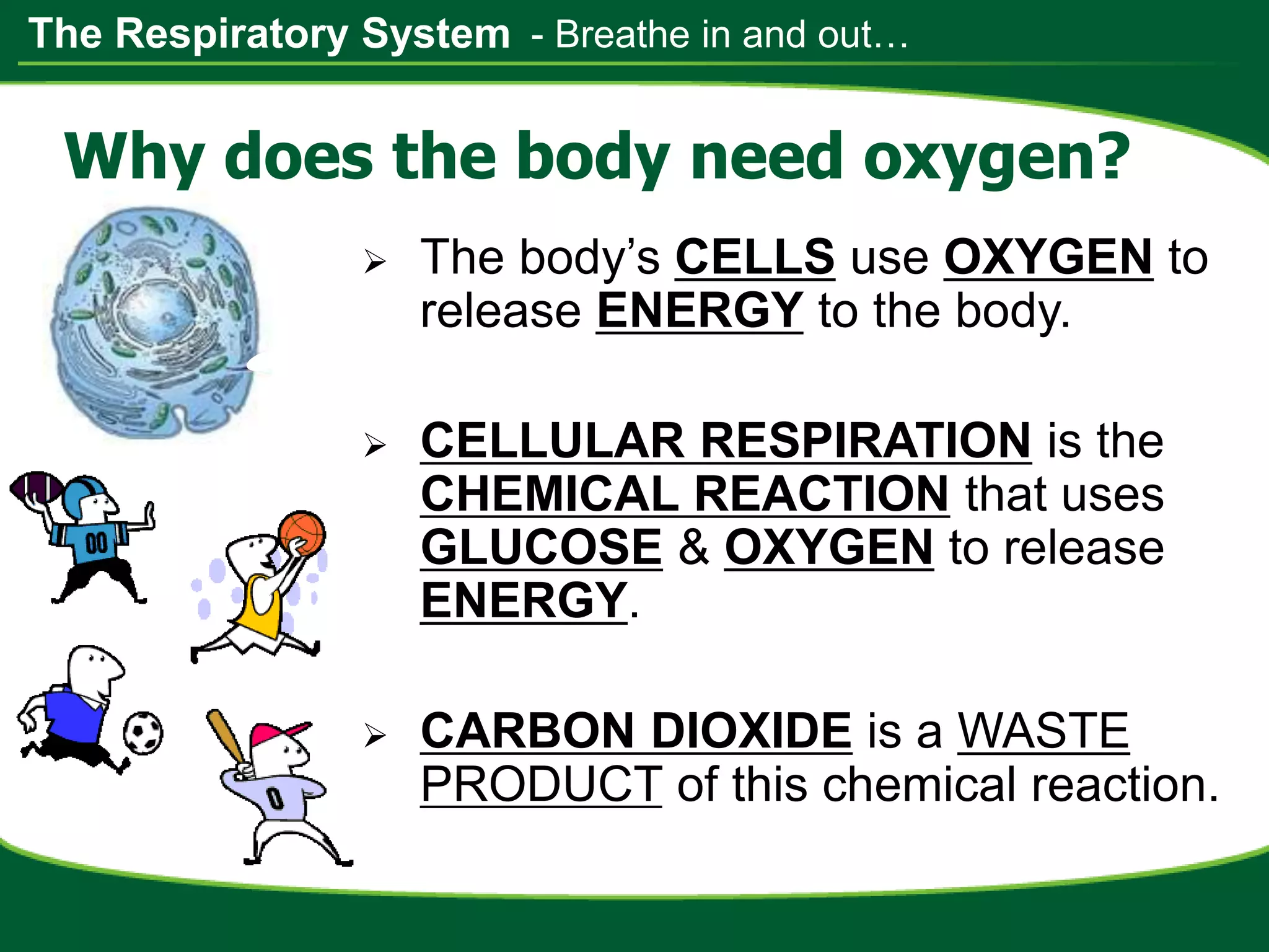 SCIENCE 9 PPT WEEK 1.ppt