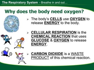 SCIENCE 9 PPT WEEK 1.ppt