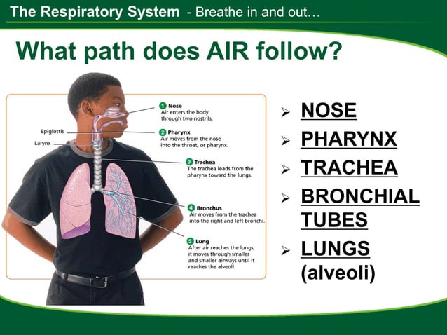 SCIENCE 9 PPT WEEK 1.ppt