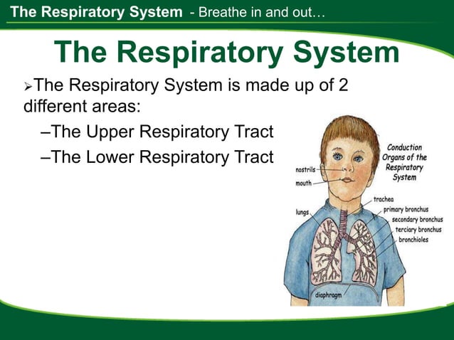 SCIENCE 9 PPT WEEK 1.ppt