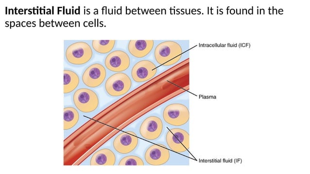 SCIENCE 9 Types of Circulatory System.pptx
