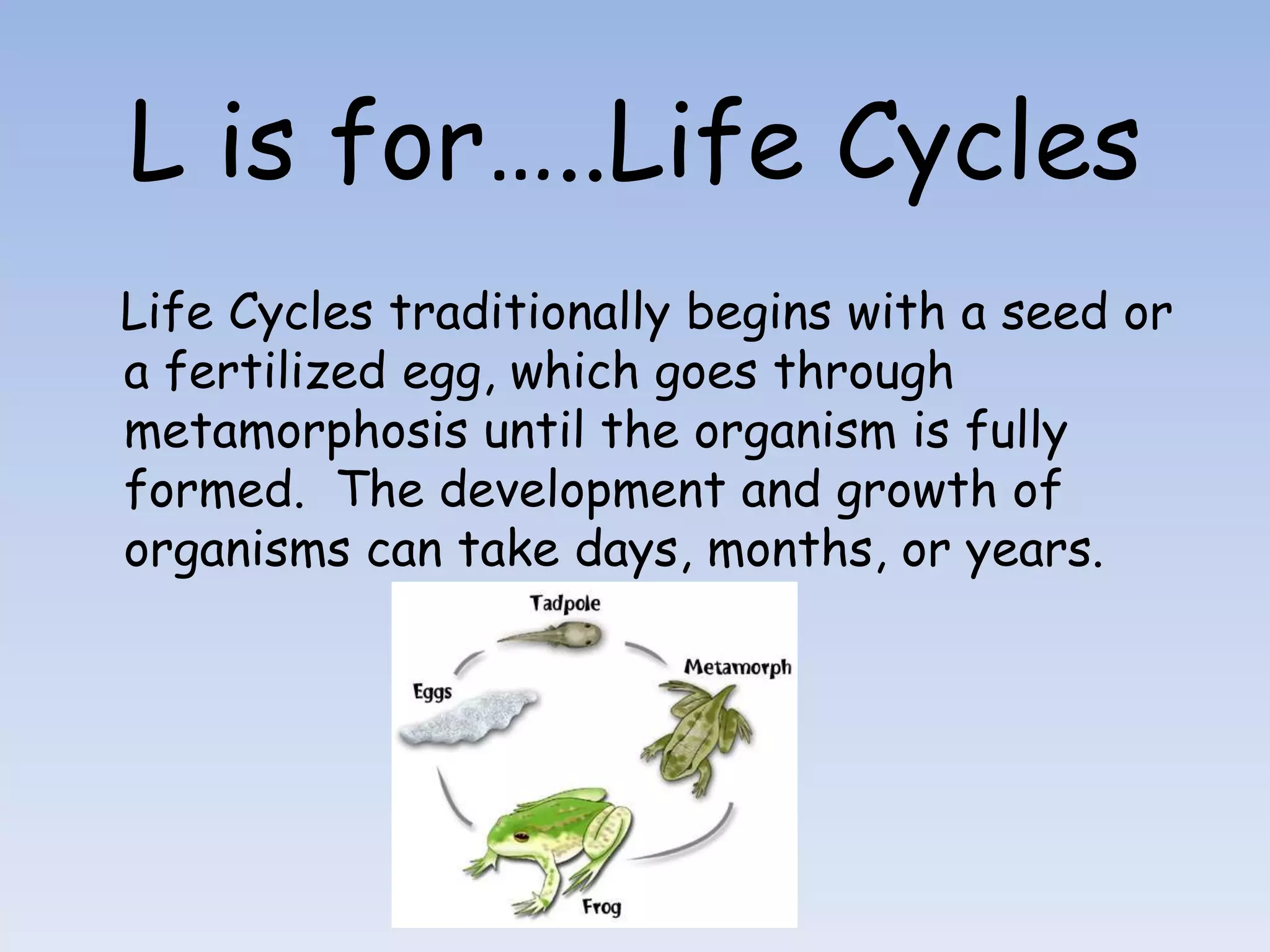 Science ABC Book | PPTX