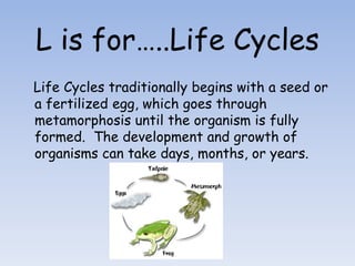 Science ABC Book | PPTX