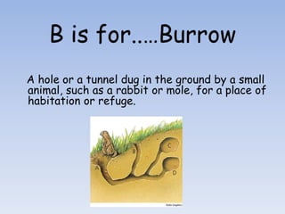 Science ABC Book | PPTX