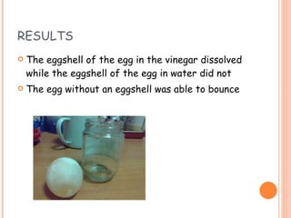 Science Experiment 2 | PPT | Chemistry | Science