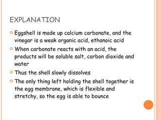 Science Experiment 2 | PPT