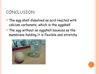 Science Experiment 2 | PPT | Chemistry | Science