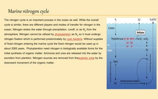 Nitrogen cycle | PPTX