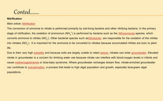 Nitrogen cycle | PPTX
