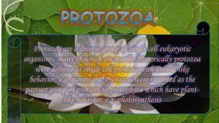 microorganism : friend and foe | PPTX | Biological Sciences | Science