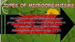 microorganism : friend and foe | PPTX | Biological Sciences | Science