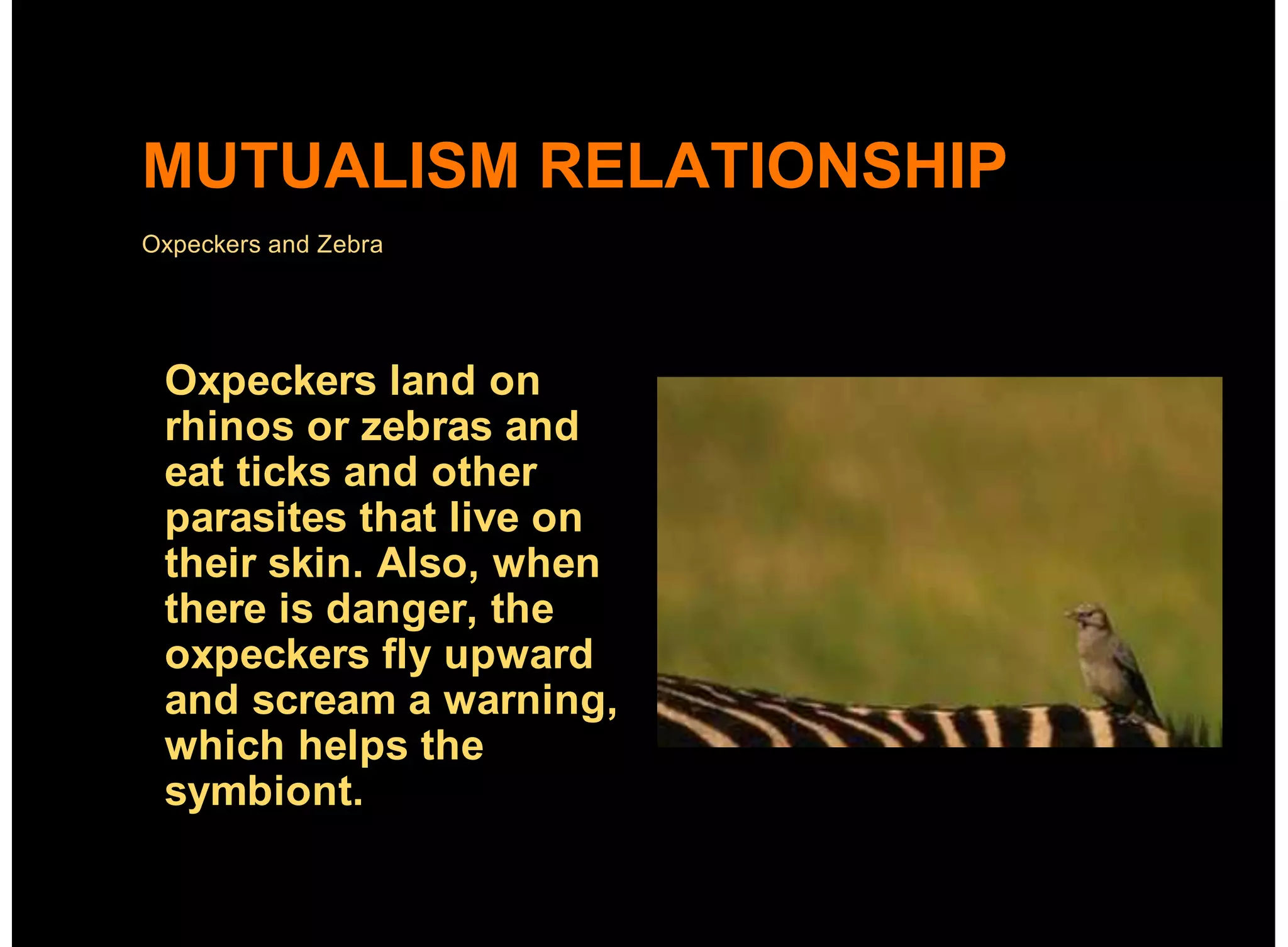 Science activity 12 | PDF