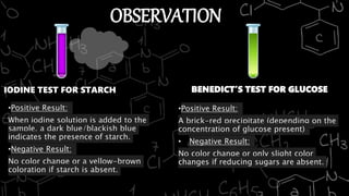 FORM 2 SCIENCE ACTIVITY 3.1 POWER POINT PPTX | PPTX