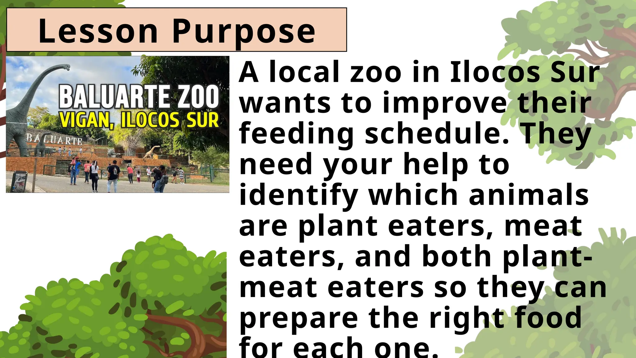 Science Adventure in the classification of animals based on their food ...