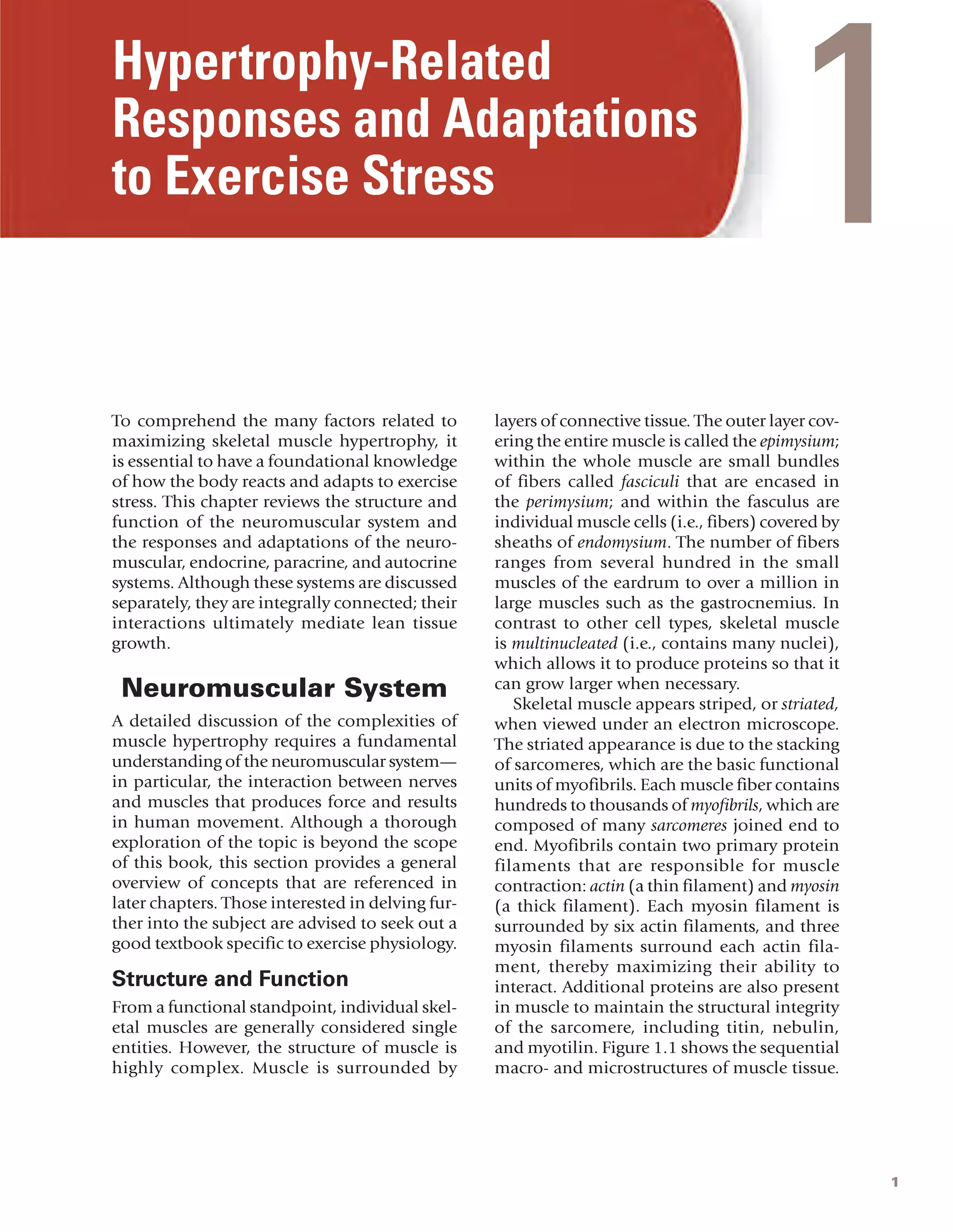 Science and development of muscle hypertrophy | PDF