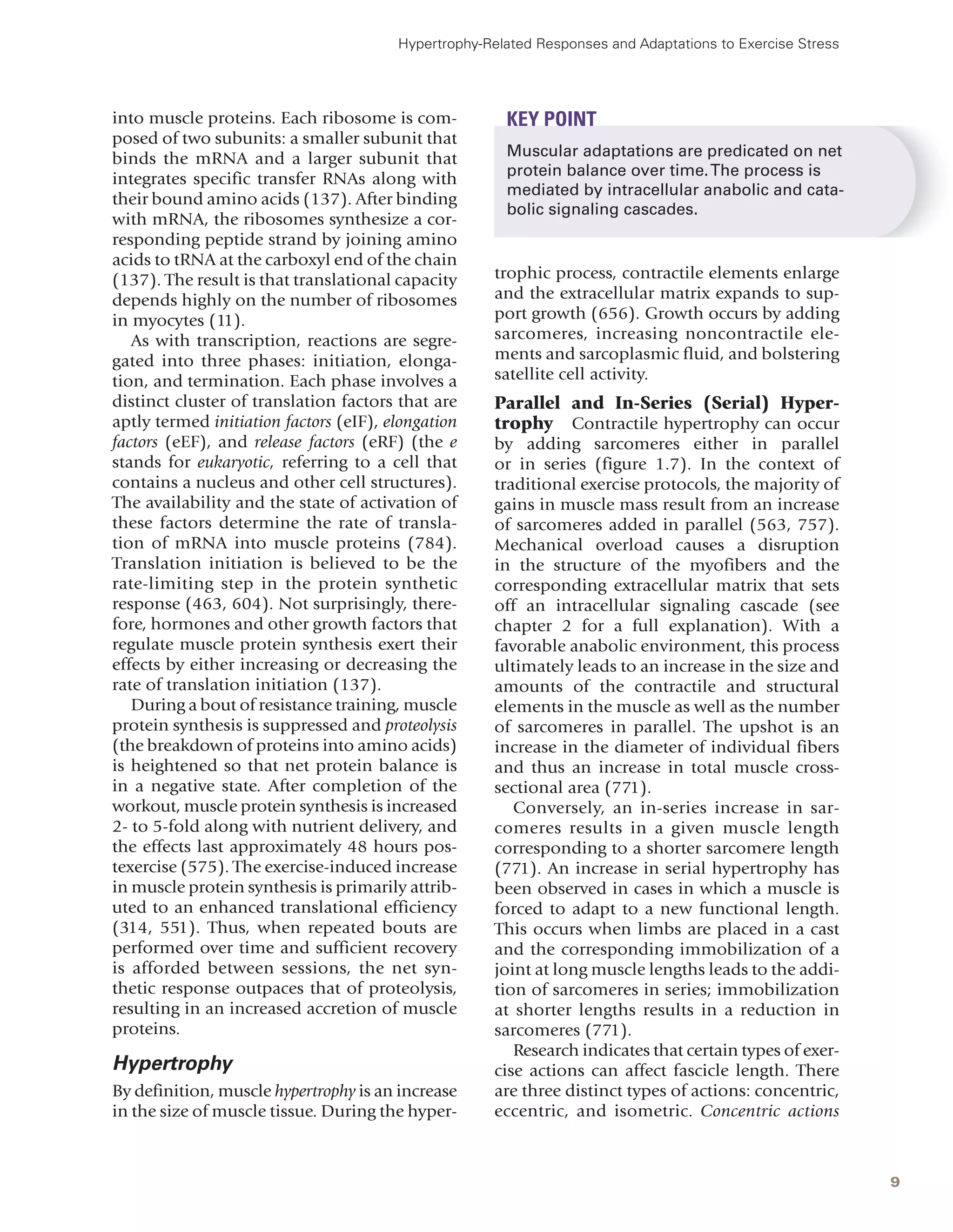 Science and development of muscle hypertrophy | PDF