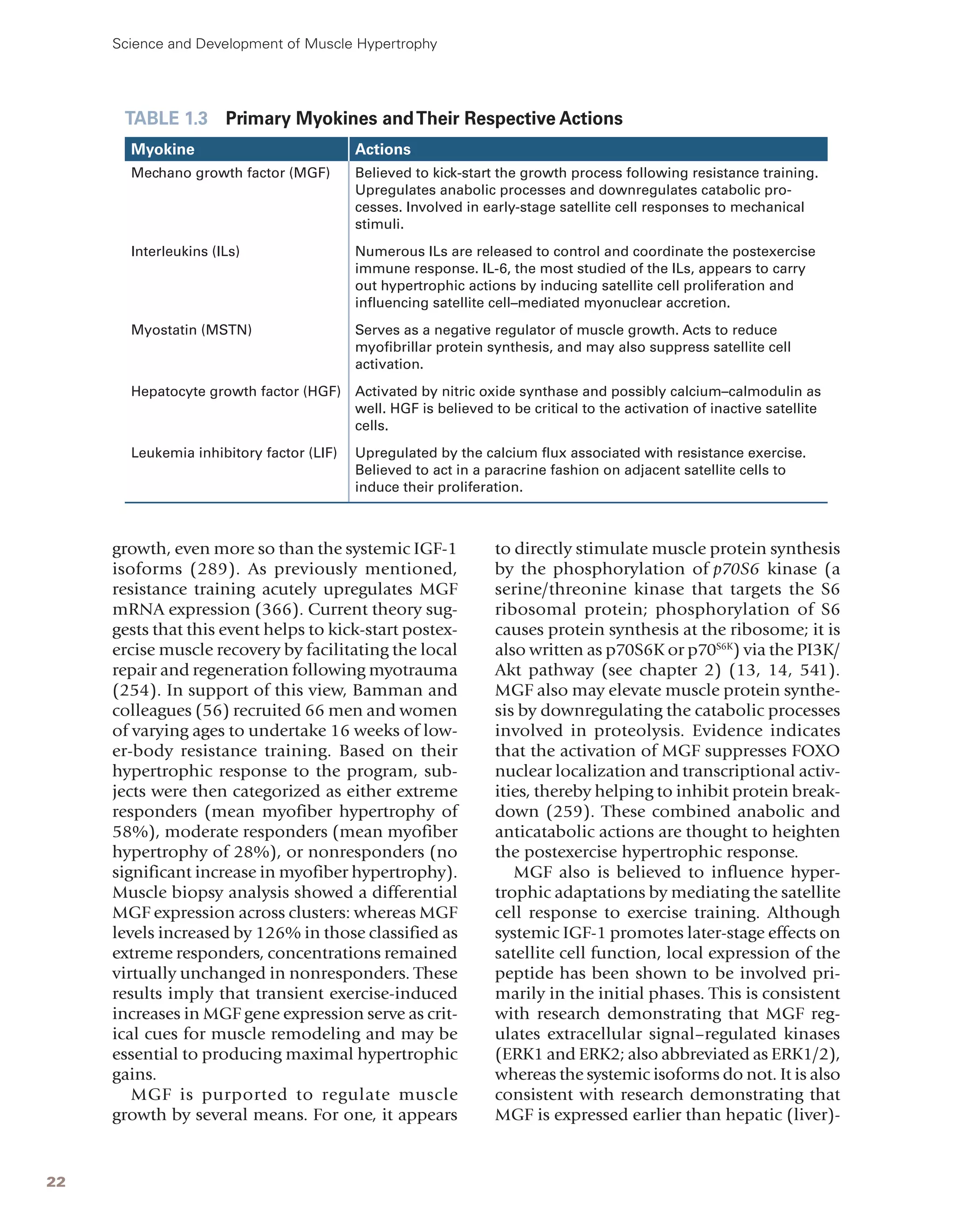 Science and development of muscle hypertrophy | PDF