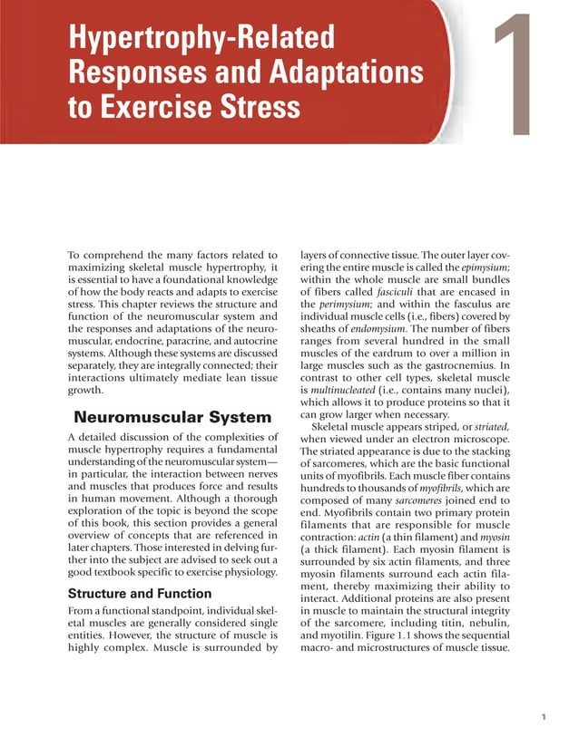 Science and development of muscle hypertrophy | PDF