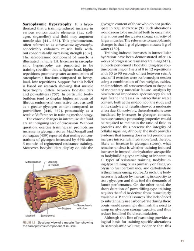 Science and development of muscle hypertrophy | PDF