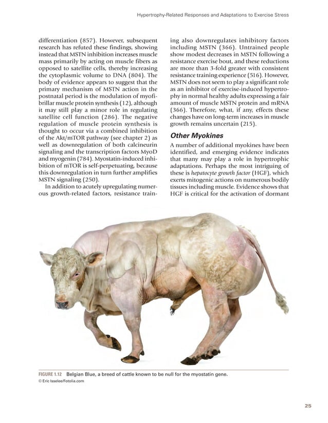 Science and development of muscle hypertrophy | PDF