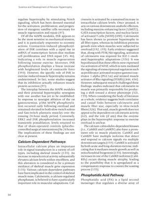 Science and development of muscle hypertrophy | PDF